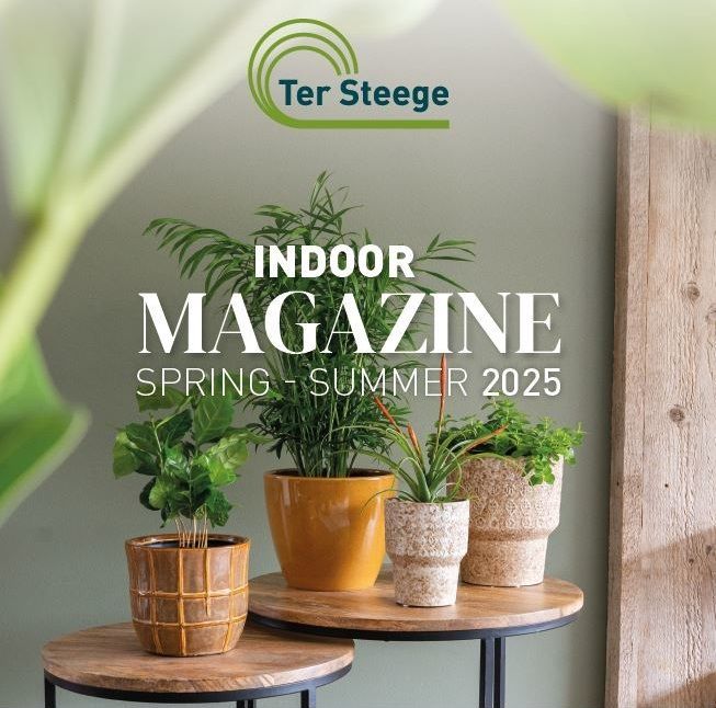 Groothandel webshop bloempotten | Ter Steege | Ter Steege